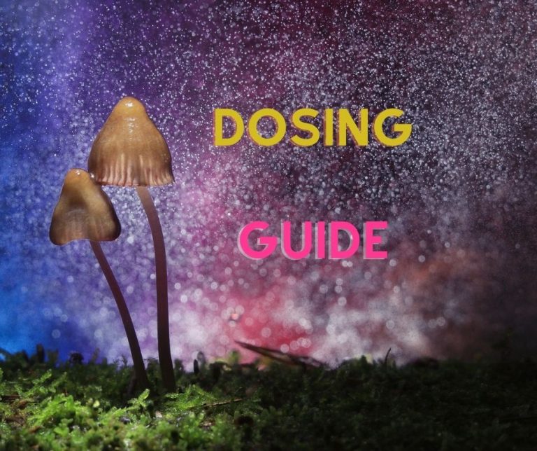 Shroom Dose Calculator. A Guide To Dose Shrooms For Beginners & Pros.
