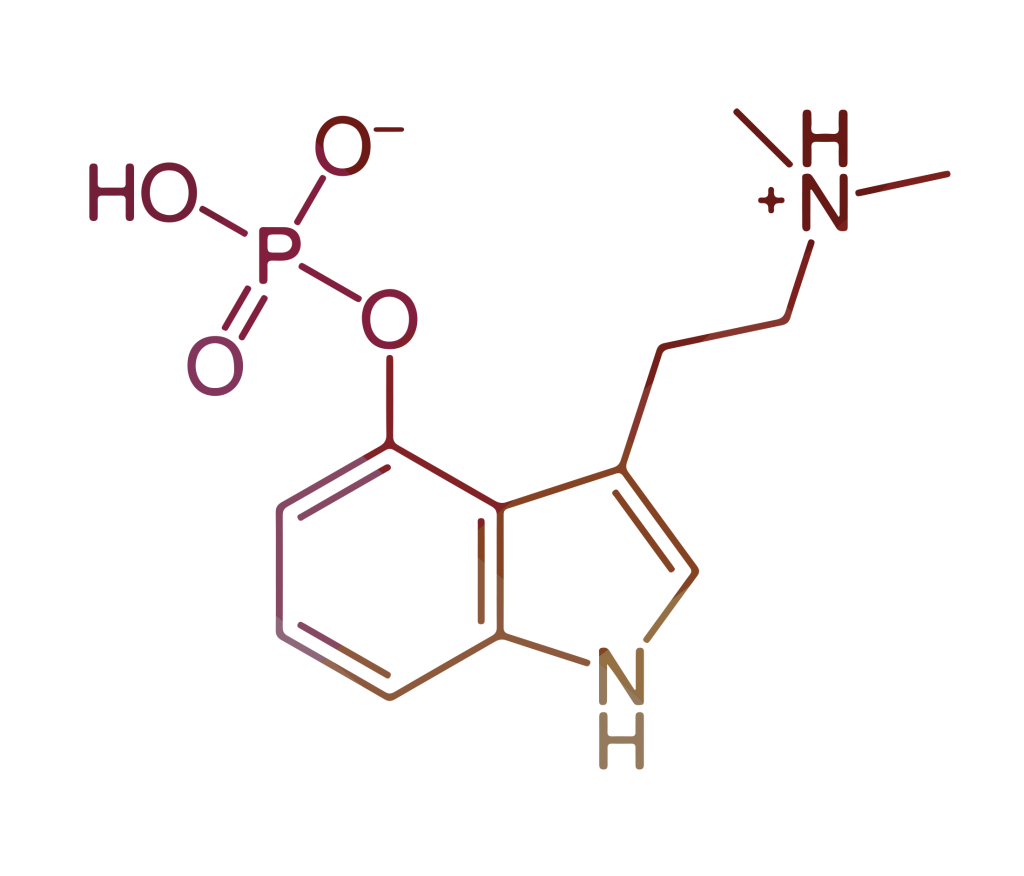 What is Psilocybin? What You Need To Know About Psilocybin Mushrooms