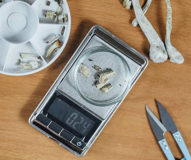 Microdosing Shrooms. Everything You Need To Know For Dosing Shrooms